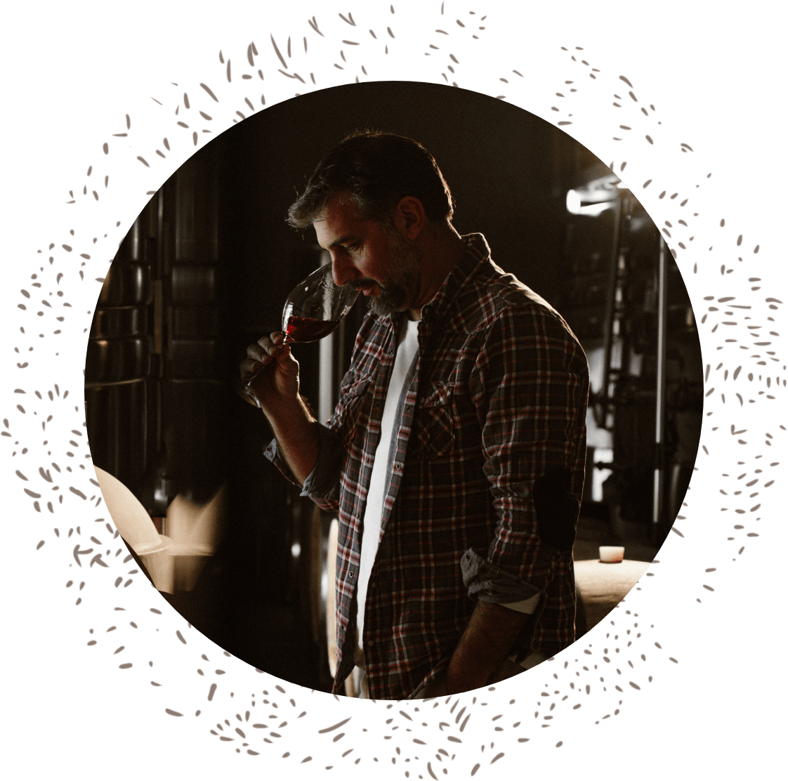 Imperial Stag — Vinos exclusivos de alta calidad